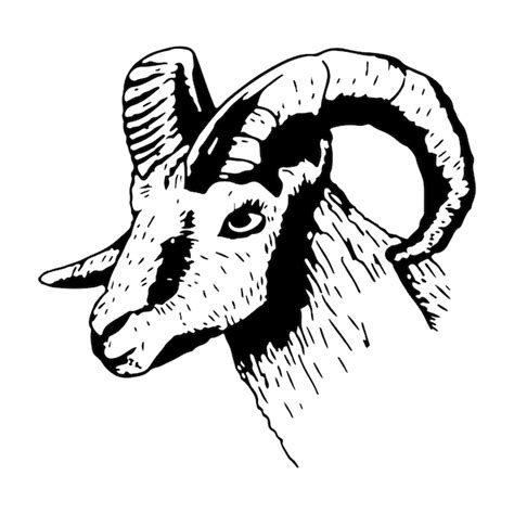 Premium Vector Ram Head With Horns In Sketch Style Vector Isolated
