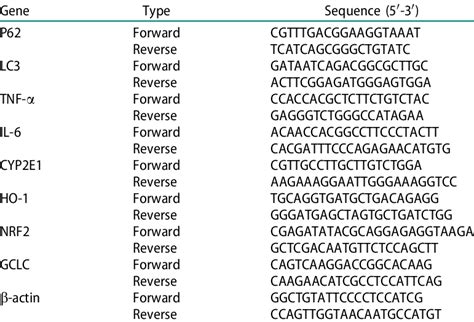 Primer Sequences Used For Real Time Pcr Detection Download