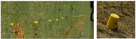 A Sample Geophone Array With 2hz Geophone Download Scientific Diagram
