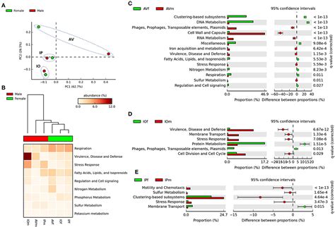 Frontiers Sex Specific Linkages Between Taxonomic And Functional