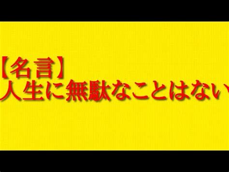 名言人生に無駄なことはないについて話してみた YouTube