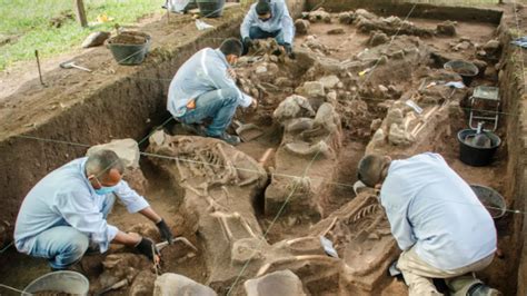 El Increíble Hallazgo Arqueológico Que Descubrieron En El Caribe