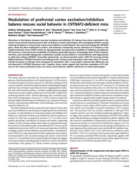 Pdf Modulation Of Prefrontal Cortex Excitationinhibition Balance