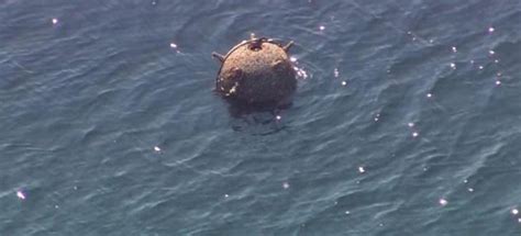 България ще изпрати до 10 военни в Противоминната група в Черно море с