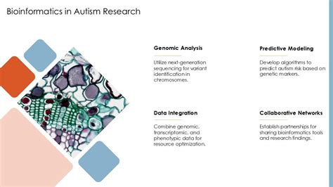 Bioinformatics In Autism Research Autism Chromosomes Ppt Powerpoint Acp