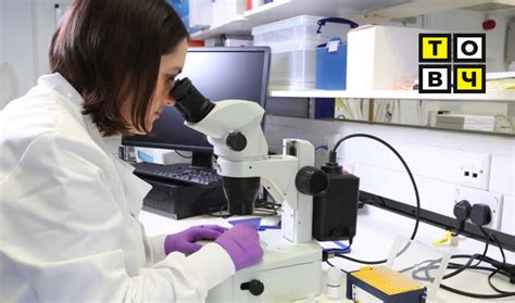 Хорт хавдрын эмчилгээнд хувьсгал хийх шинэ эмчилгээг Их Британид туршиж эхэллээ