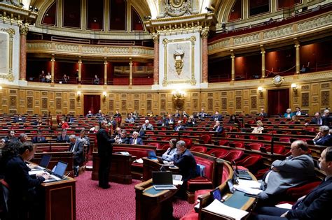 Loi Immigration Compromis Au Sénat Sur La Régularisation Dans Les