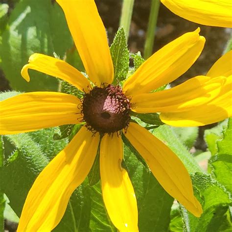 After 428 Miles Of Pedaling I Matthew Steinhoff Facebook