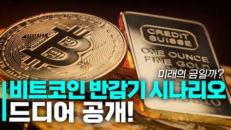 비트코인 미래의 금인가 아니면 더 나은 투자 기회인가 Youtube