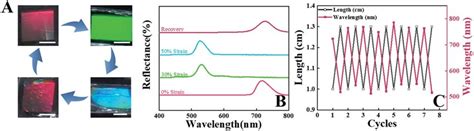The Evolution Of Structural Colors At A Viewing Angle Of 27 During Download Scientific Diagram