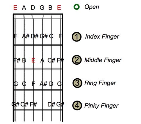 Guitar String Notes Top To Bottom At Larry Alvarez Blog
