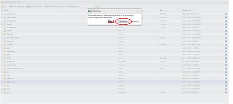 how do i restore my files from cpanel knowledge base scalahosting