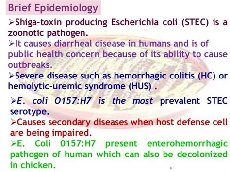 E Coli Diagnosis In Broiler And Layer Bird