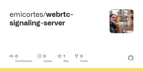 GitHub Emicortes Webrtc Signaling Server