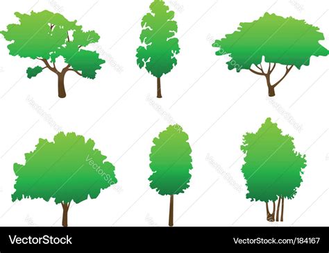 Tree Symbols Royalty Free Vector Image VectorStock
