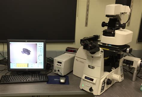 Laser Capture Microdissection Lcm Core Cor²e Uconn Center For Open Research Resources