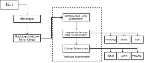 Flow Diagram Of The Cad System Download Scientific Diagram