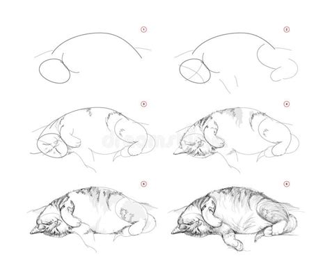 Page Shows How To Learn To Draw Sketch Of Cute Sleeping Cat Pencil Drawing Lessons Educational