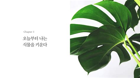 7 식물 Ppt 템플릿 Designtool 디자인 오픈소스