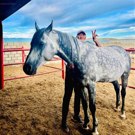 Адуу гэдэг тэр чигээрээ гал юм Хусавч арилахгүй ясанд нь байх Шахавч дундрахгүй цусанд нь байх