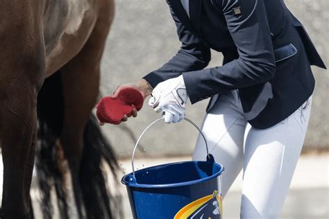 Optimal Recovery After Exercise Cavalor Direct