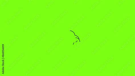 Black Outline Cloud Computing Data Security 4k Animation Outline Icon On Green Screen Background