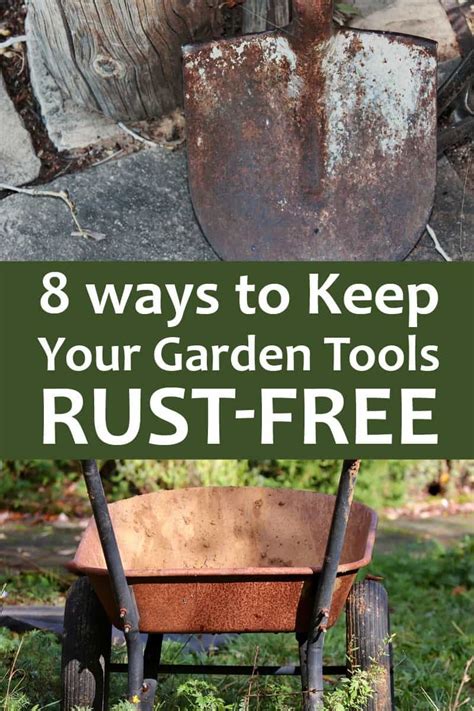 8 Ways To Keep Your Garden Tools Rust Free