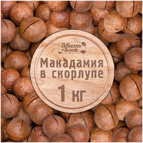 Полезно и Вкусно Макадамия орех в скорлупе с ключом в комплекте ЮАР 1 кг 1000гр — купить