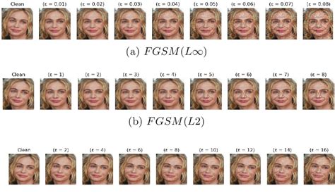 Effect Of Perturbation Amount On Quality Of Images Download