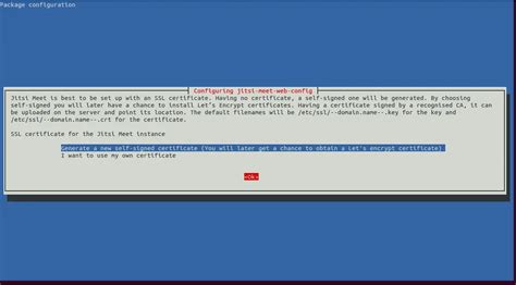 How To Install Jitsi Meet Video Conferencing Solution On Debian 10