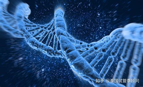 单基因遗传病，第三代试管婴儿助你生育健康宝宝 知乎