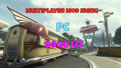 Multiplayer Mod Menu Pc Bo2 Youtube