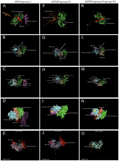 Alphafold Predicted Structure Models Of Group I Iv A D Group I