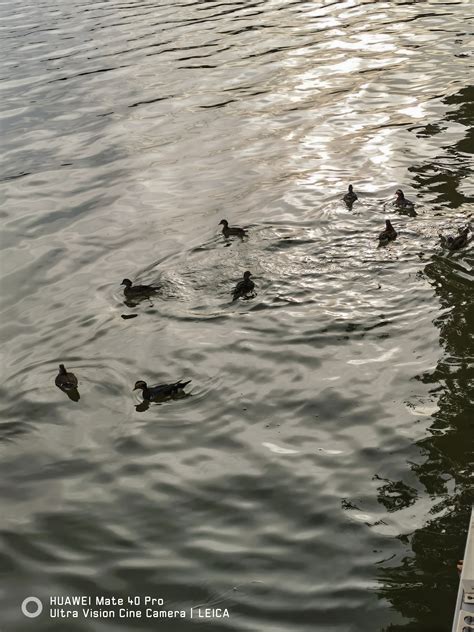 解析python中获取当前线程名字的方法及多线程编程实践python 打印线程的名字 Csdn博客