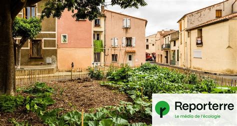 Kim Jonker On Linkedin Dans Cette « Ville éponge Les Potagers