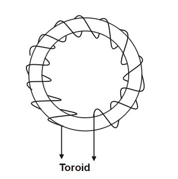 Toroidal Physics