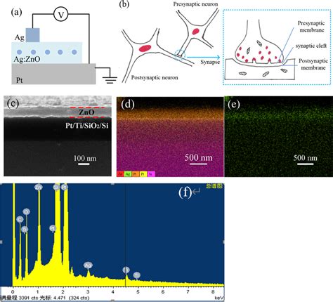 A Schematic Illustration Of The Memristor Device Based On Zno With Ag Download Scientific