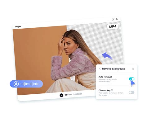 Remove Full Video Background Online Free In Seconds