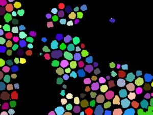 Example Binary Image BoofCV