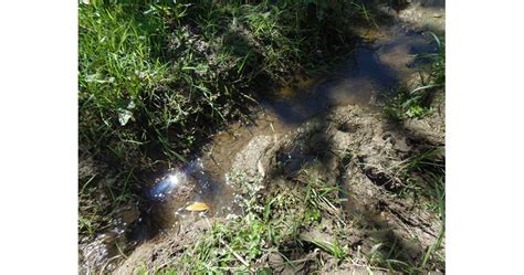 Екоинспекцията в Русе наказа две фирми за неприятни миризми