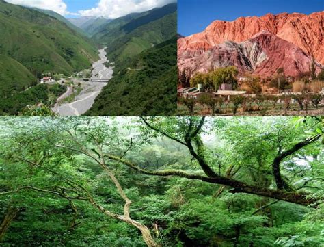 Jujuy Y Su Puna Un Paisaje Mágico A 4000 Metros De Altura Radio Solar