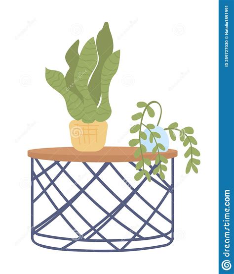 Exotic Plants On Table Semi Flat Color Vector Object Stock Vector Illustration Of Cartoon