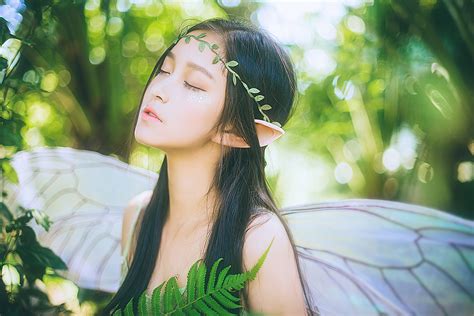 艺图语 20240101 绿色小精灵 普通天才 V2ph