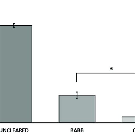 Final Average Attenuation Coefficient Values µ For Each Of The Images