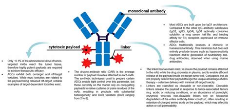 Current Adc Linker Chemistry Peg Maleimide Peptide Smcc And More Boc Sciences