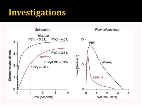 Asthma And Status Asthmaticus Pptx