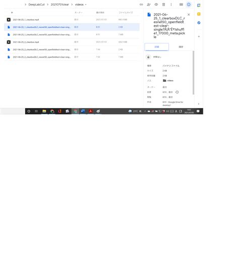 Error During Deeplabcut Create Labeled Video Issue 1374 DeepLabCut