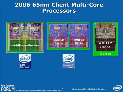 Dual Processor Vs Dual Core At Natalie Kelley Blog
