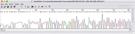 Editingsequenceutf8