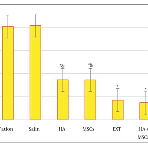 Relative Tcf Expression In Different Research Groups Significant
